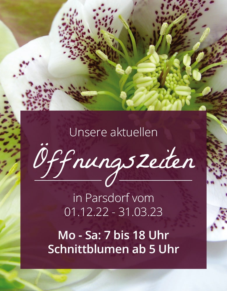 Blumen Zentrale Parsdorf Offnungszeiten